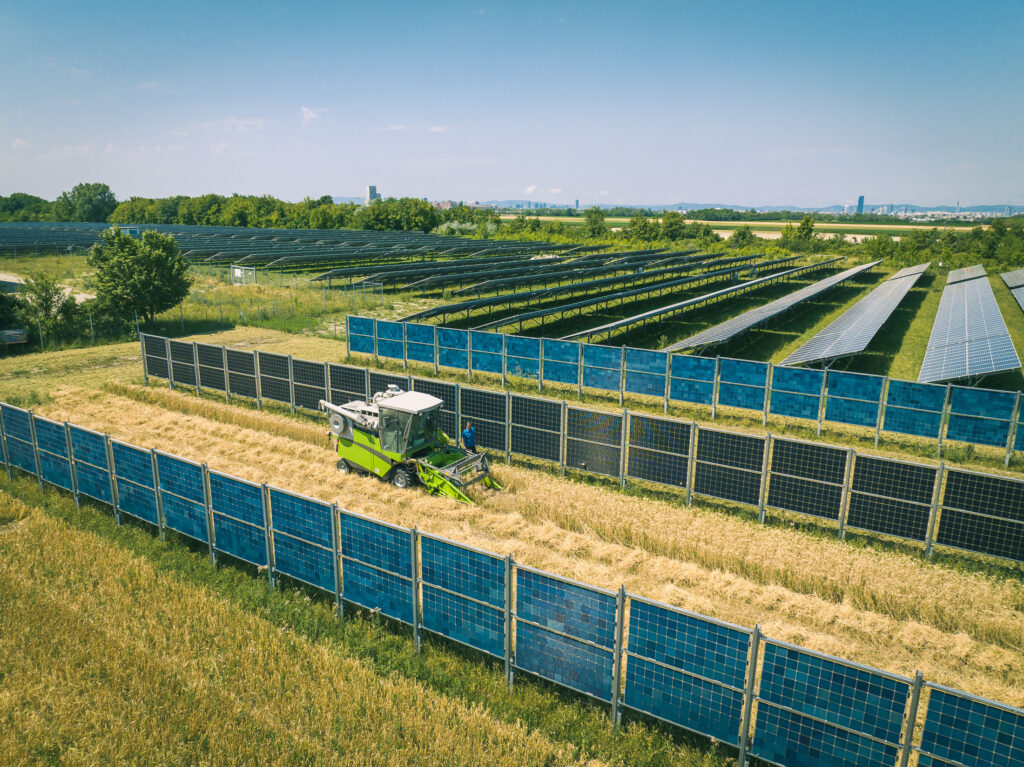 Photovoltaik und Landwirtschaft » Agri-PV-Forschungsergebnisse