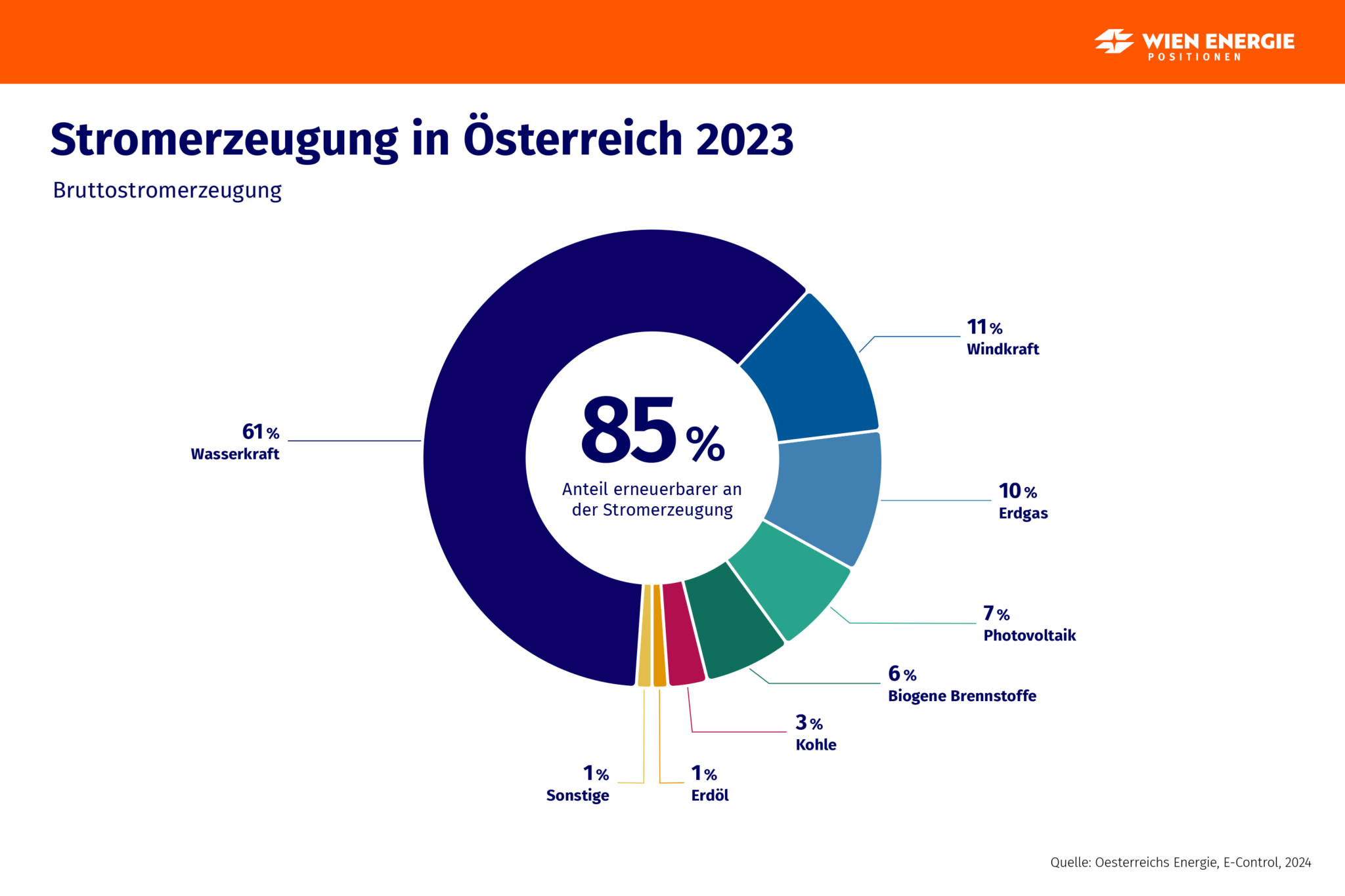 7 Netzebenen in Österreich » Inkl. Erneuerbaren-Einspeisung