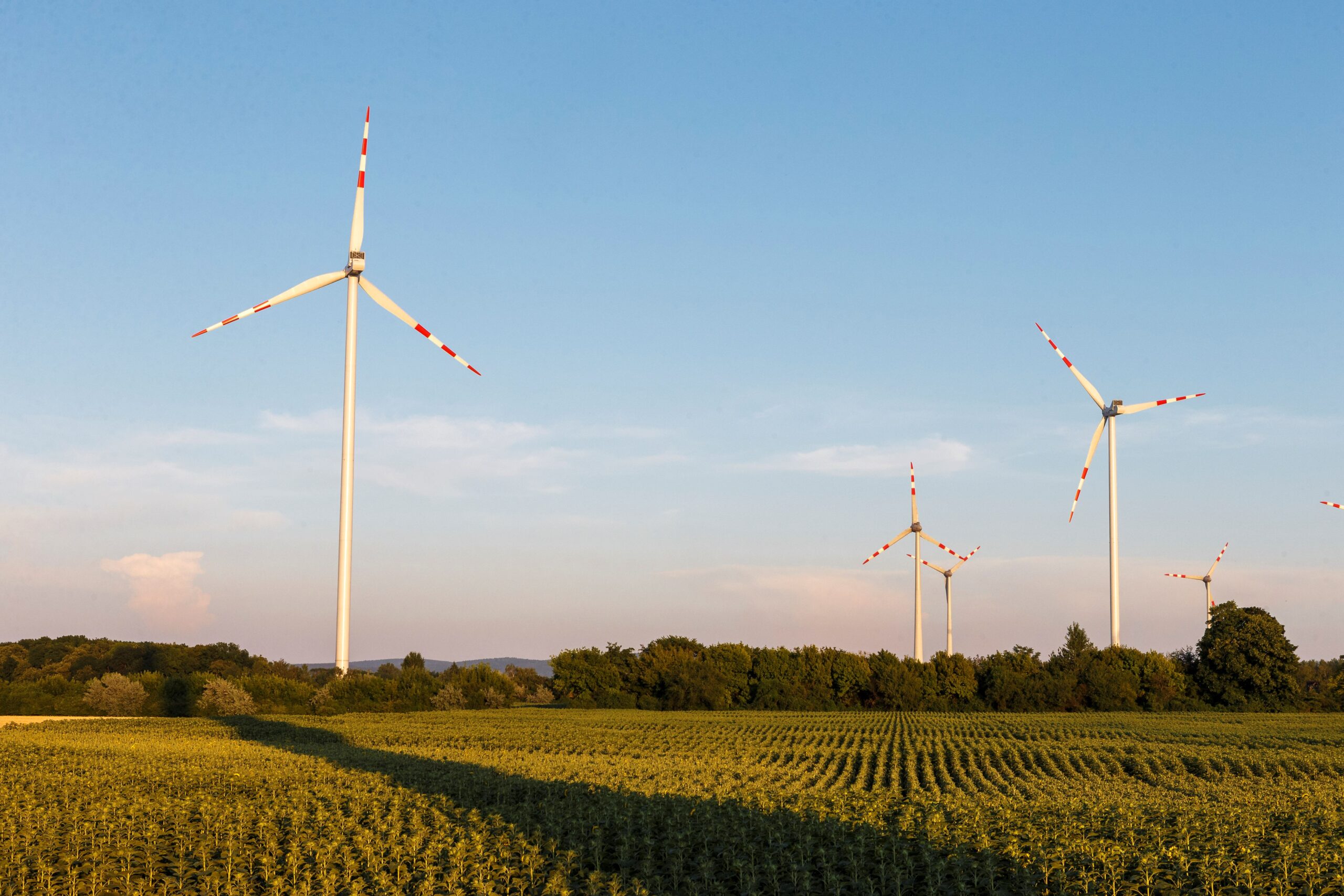 Fakten zur Windenergie » Rolle der Windkraft für Energiewende