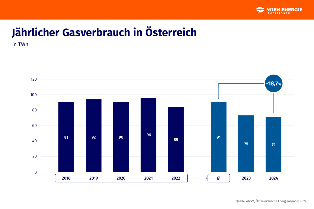 Energiemix Österreich » Verbrauch nach Energieträgern